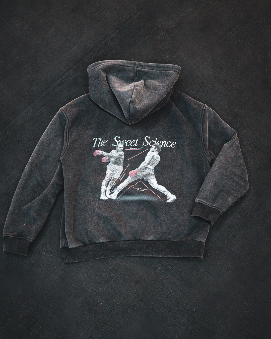 Sweet Science V.2 Hoodie – Champion Mindset
